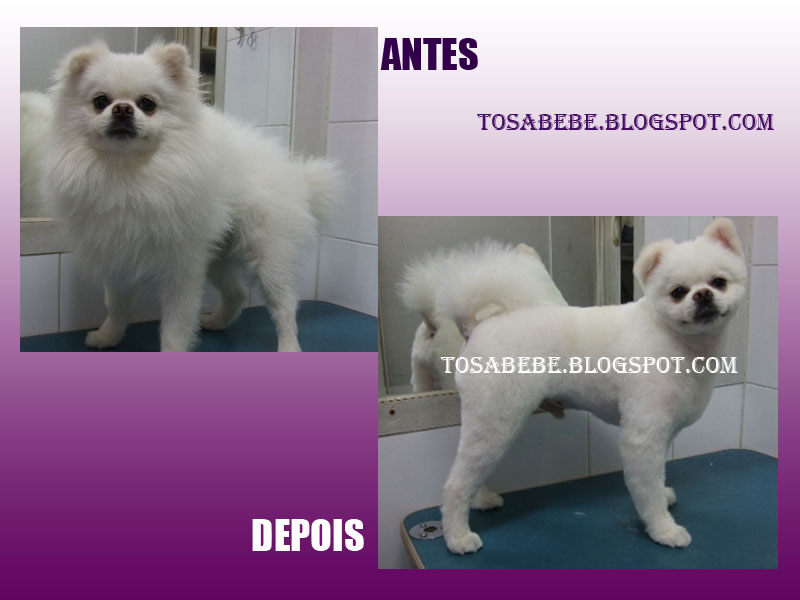 TOSA BEBÊ - TOSA VERÃO - TOSA TESOURA -TOSA PORTO ALEGRE: TOSA VERÃO ...