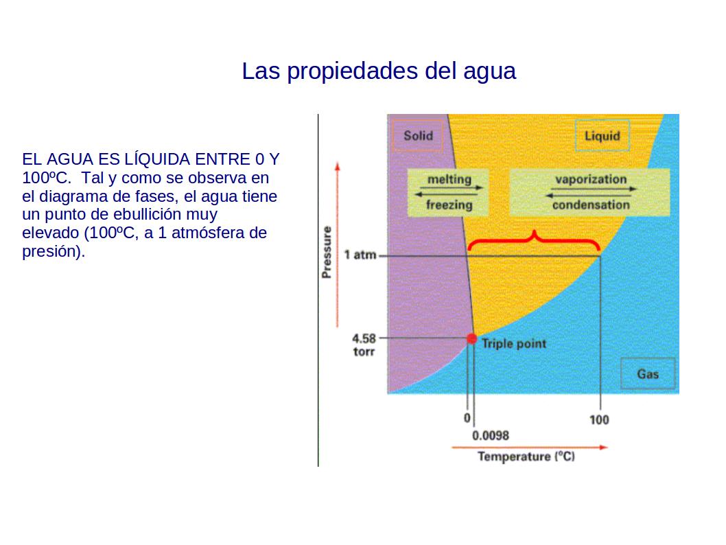Café y Biología: Lección 2 Propiedades del agua