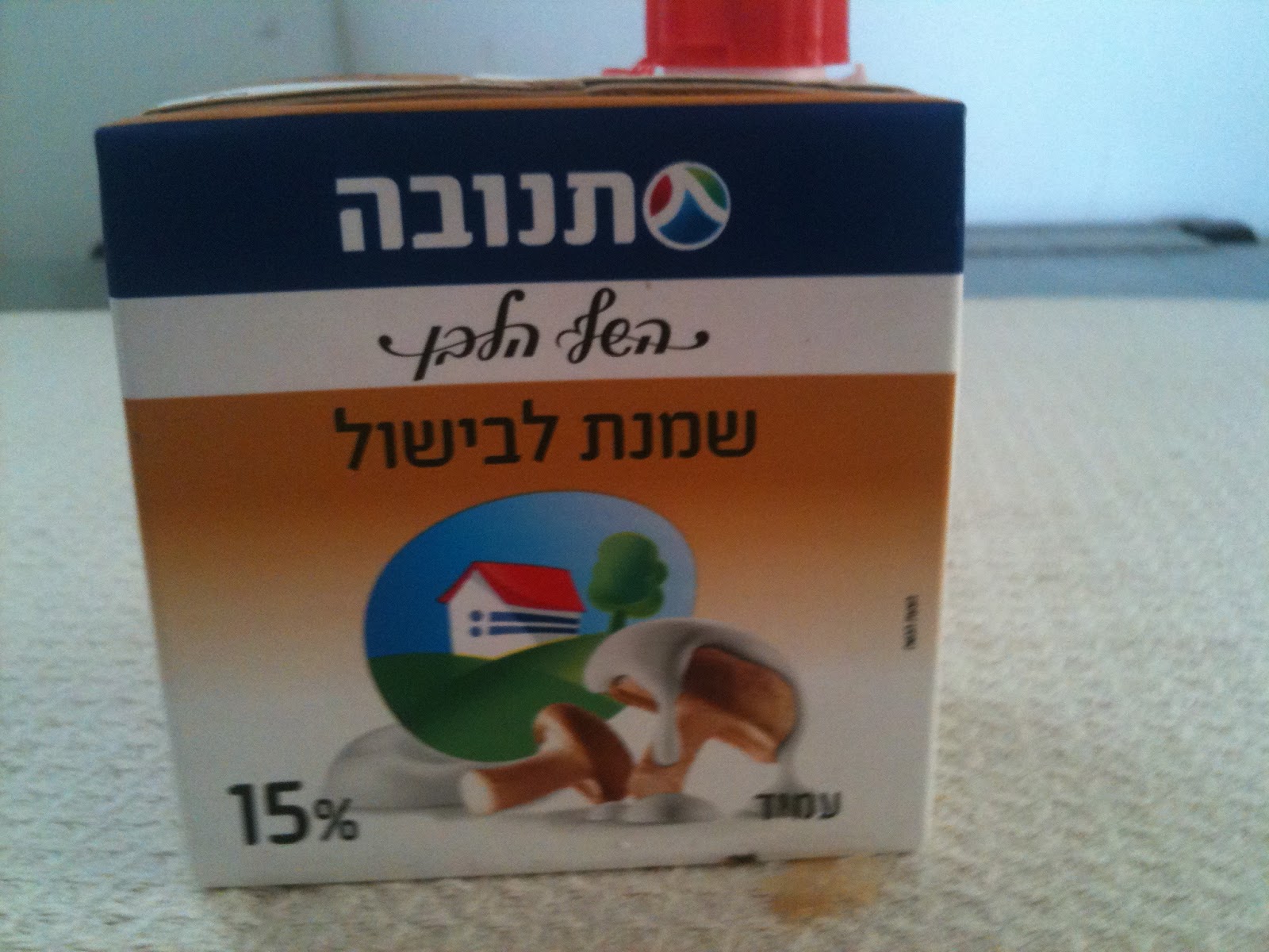 Bat Aliyah: Food Shopping in Israel - new! with pictures