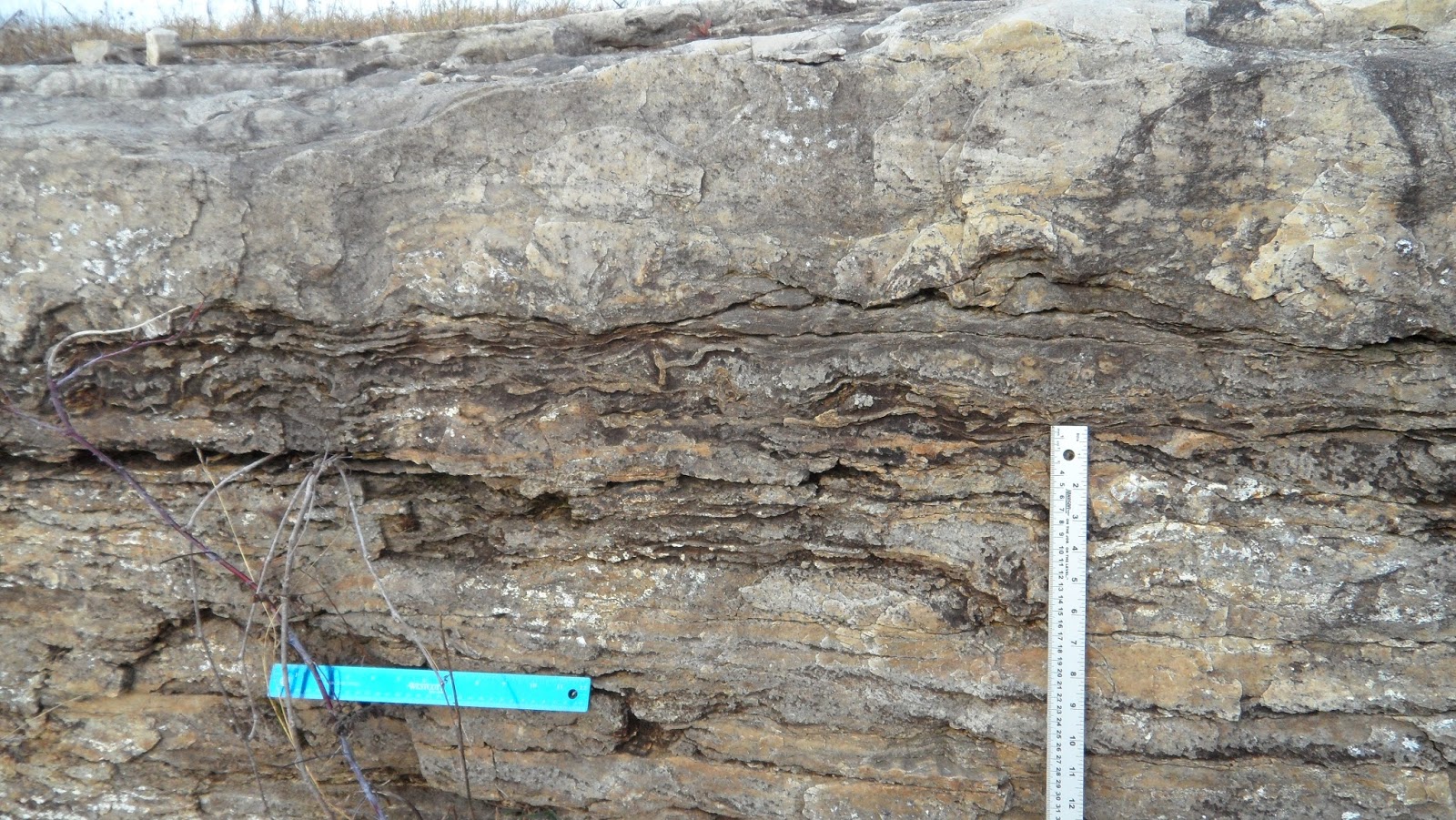 Fossils and Geology of Lanark County, Ontario: More Evidence of ...