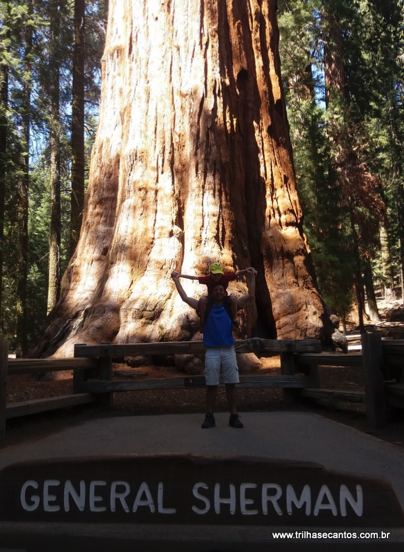 Parque Nacional das Sequoias, na California: caminhando entre gigantes ...