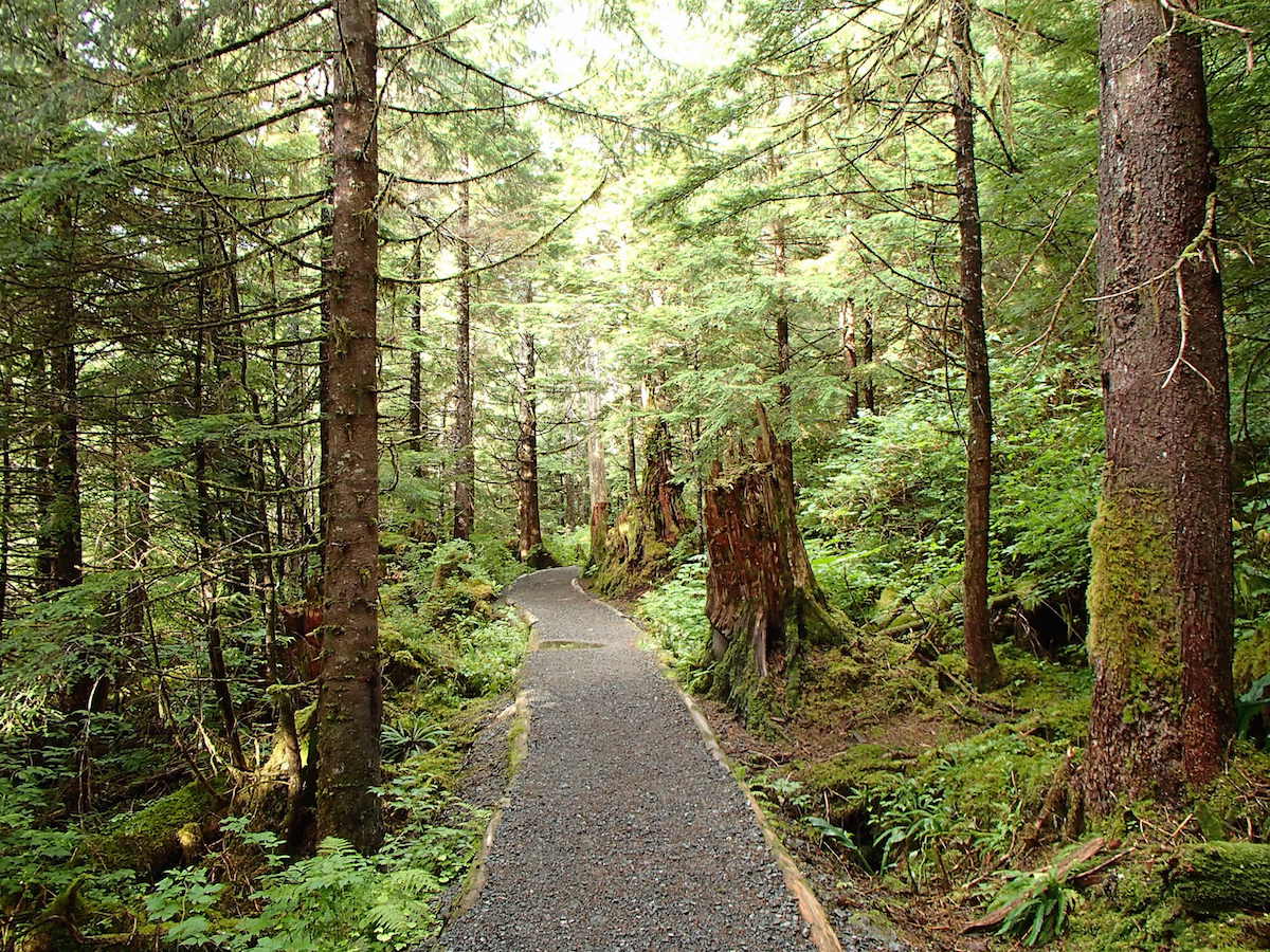 Minerva Mountain Trail in Ketchikan Alaska | Perfect Little Planet