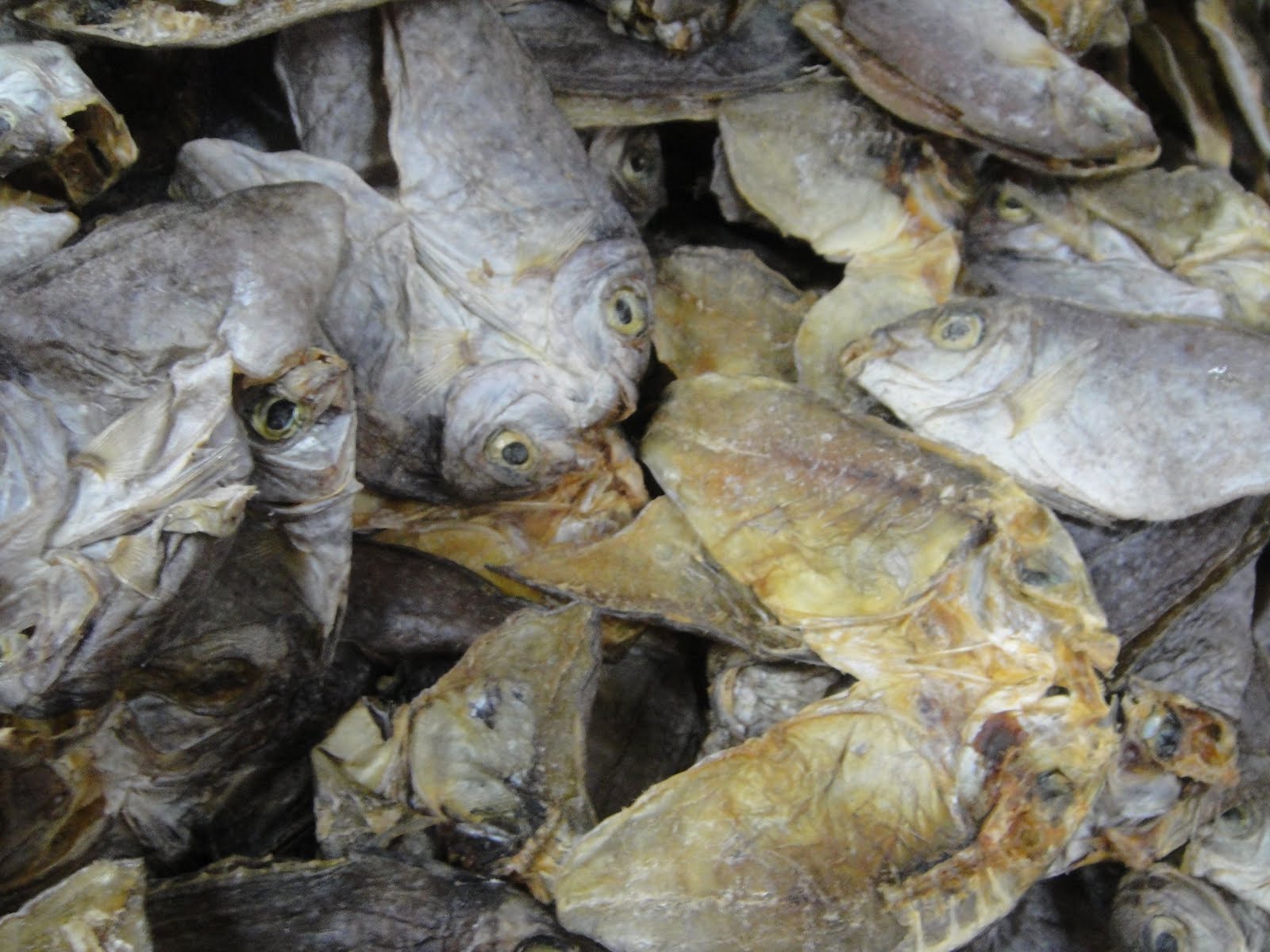 Pinay Mountain Chef: Tabo-an Dried Fish Market