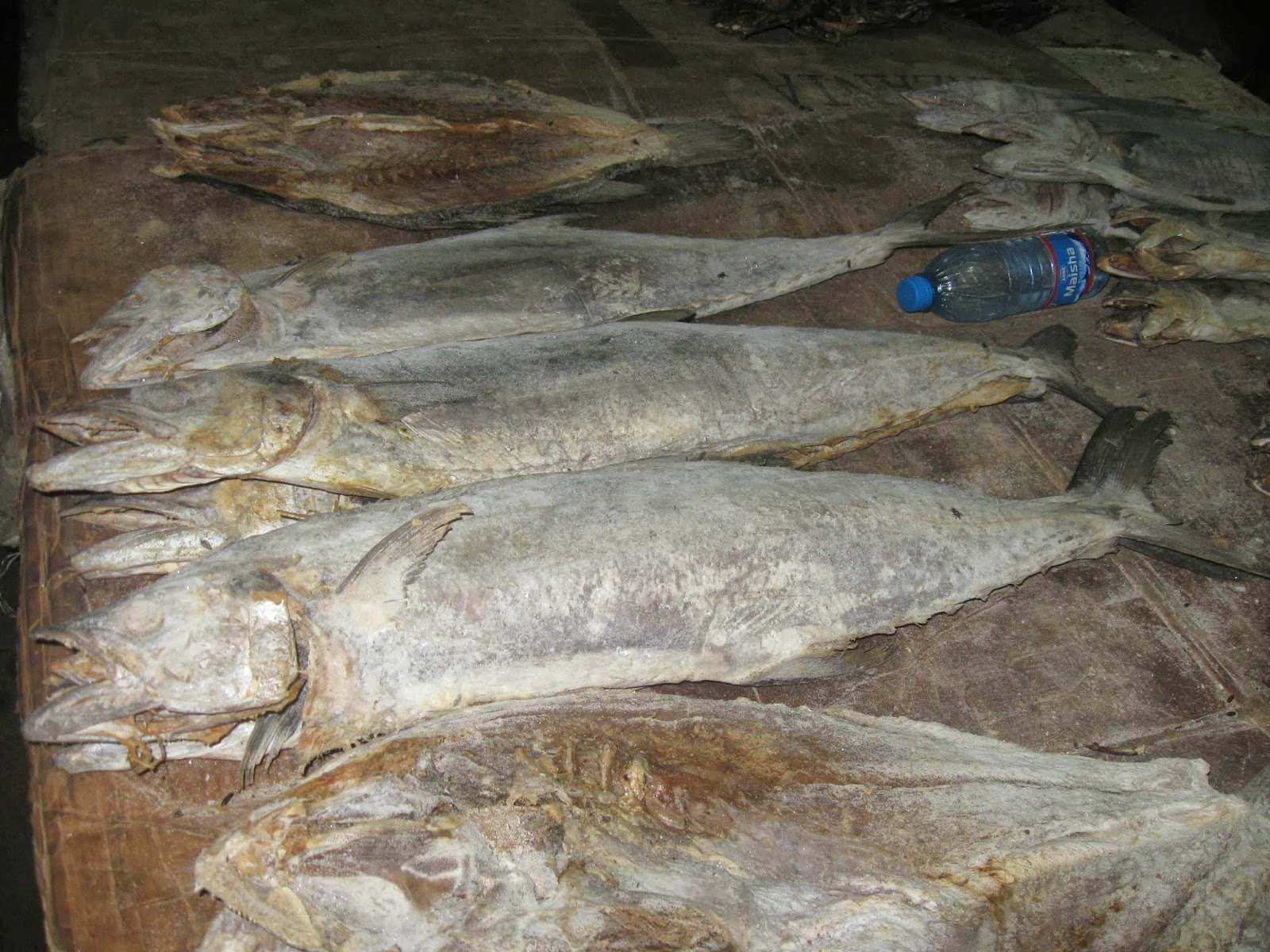Kariakoo Market Corporation: SAMAKI: NGURU, SANGARA, TAA WANAPATIKANA ...