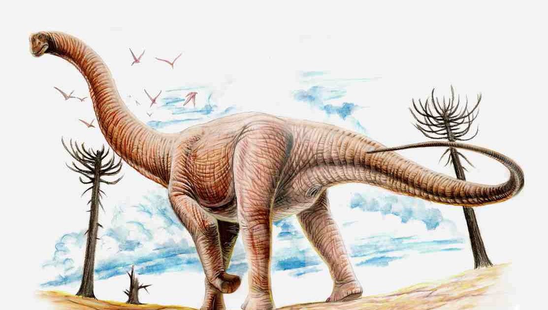 Sciency Thoughts: An American Titanosaur.