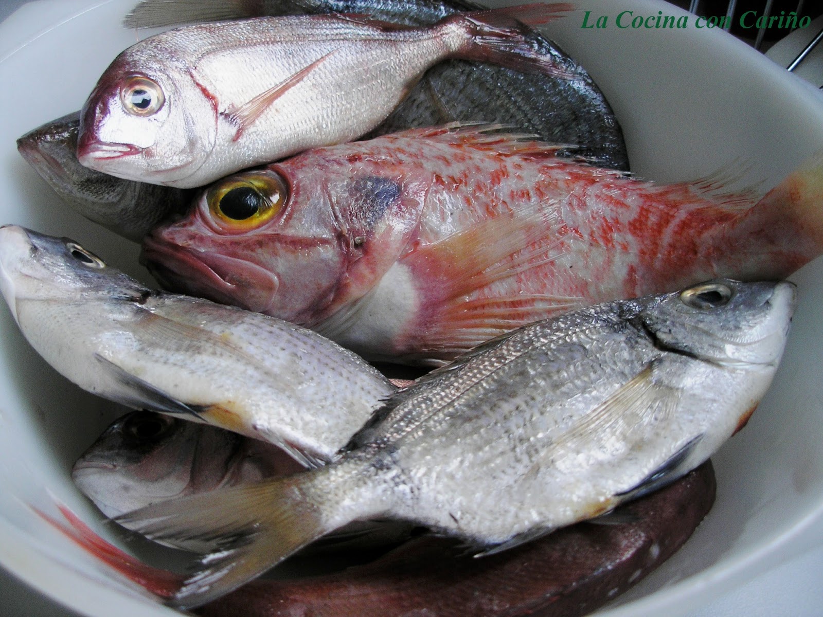 CAZUELA DE PESCADO DE ROCA