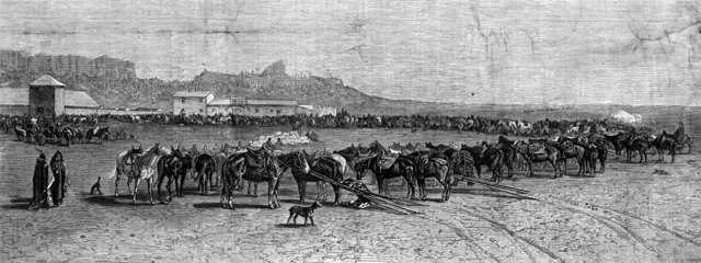 The Buffalo Soldiers | Western Trips