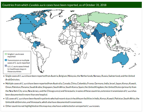 Avian Flu Diary: CDC Update Candida Auris - November