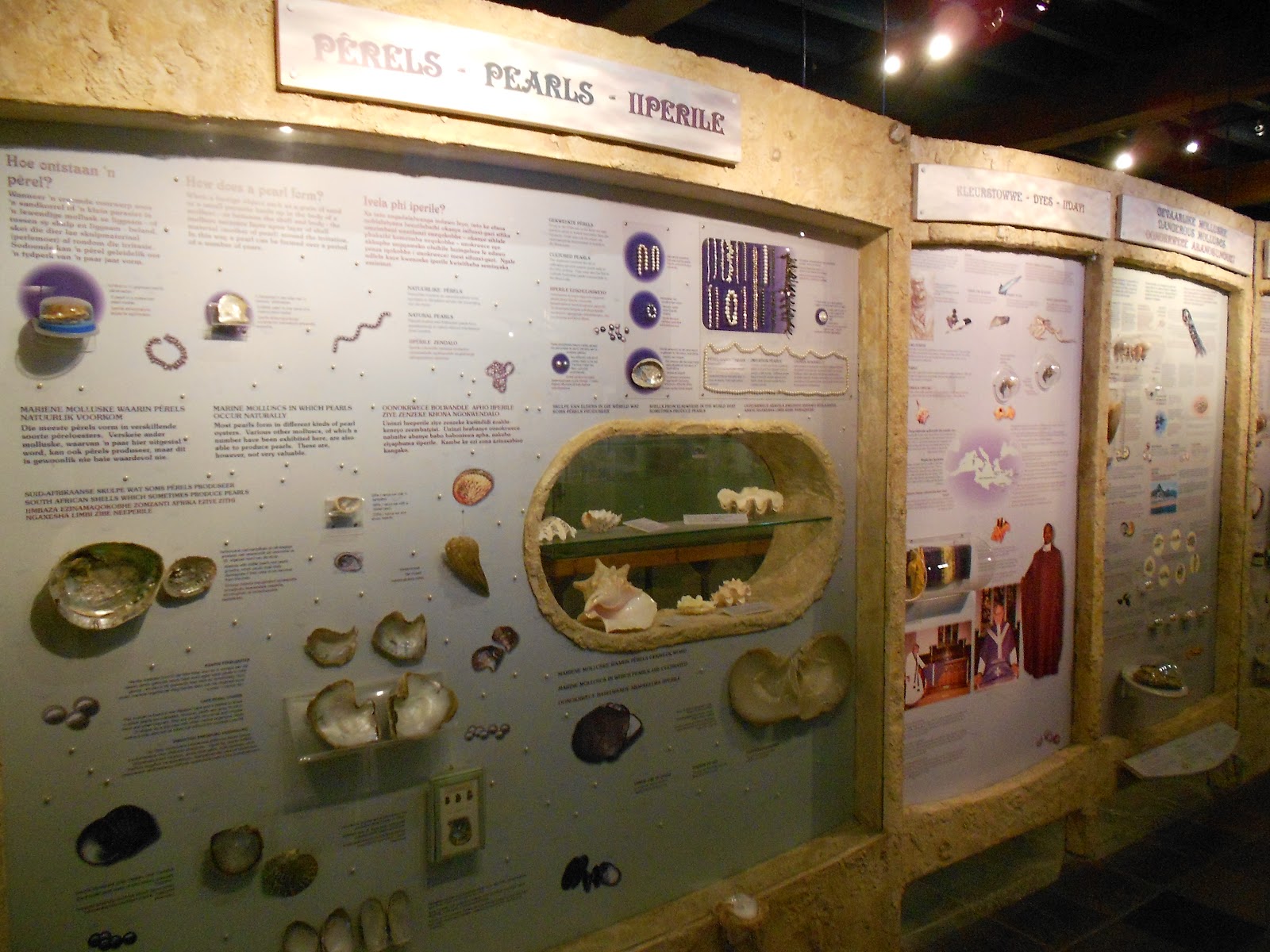 Inside the Shell Museum