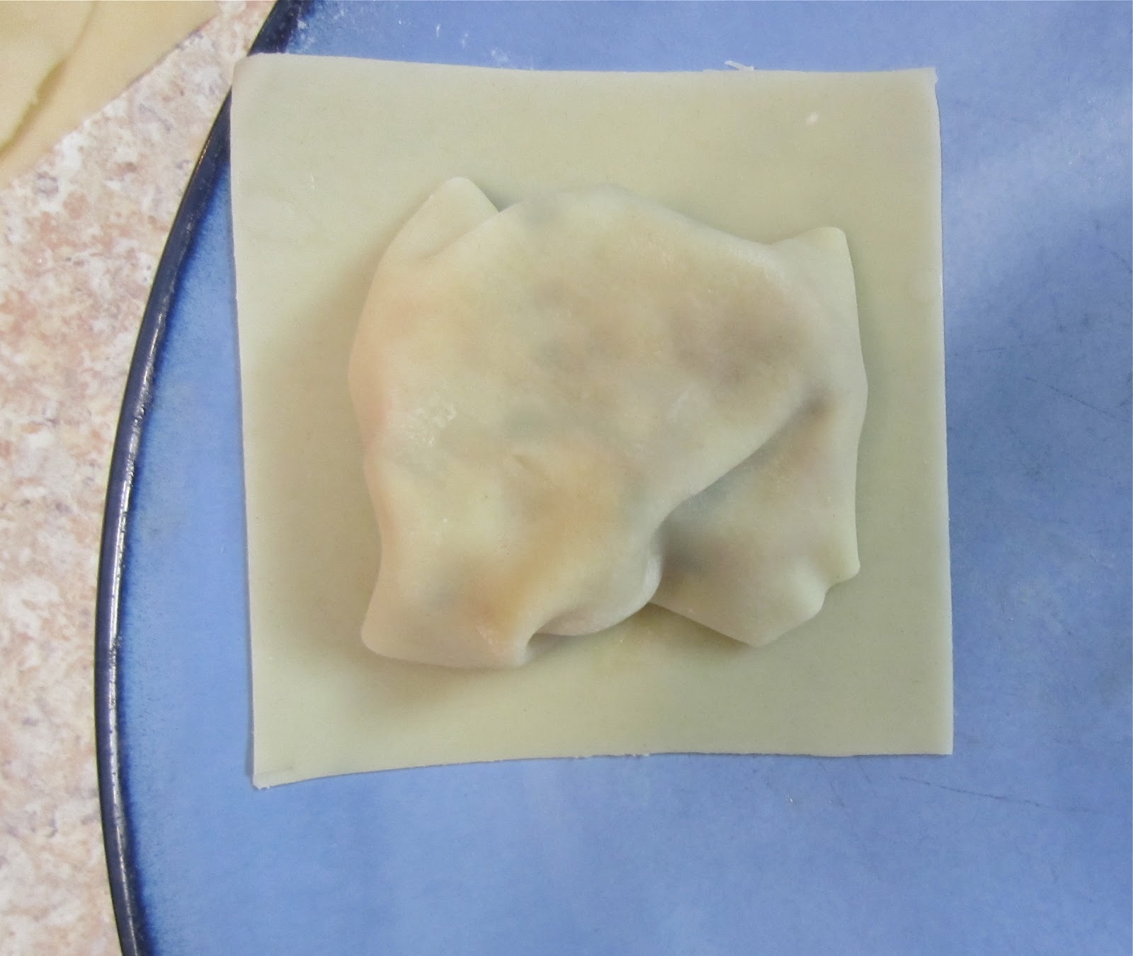 Little Mommy, Big Appetite: Baked Chicken and Vegetable Wontons