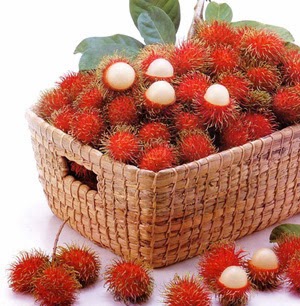 MACE : Apa itu Rambutan?