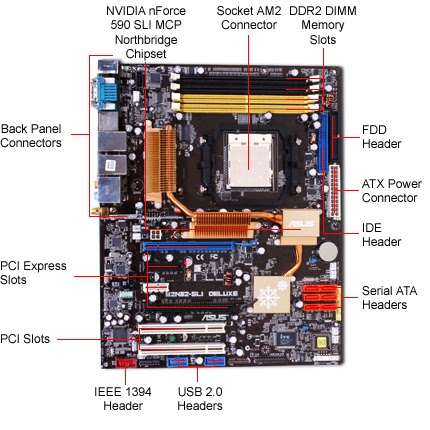 Ram: Blue PCI Express Slot Near