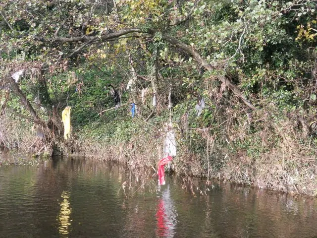 Let's Walk the River Dodder, One of the Best Hikes in Dublin | Sidewalk ...