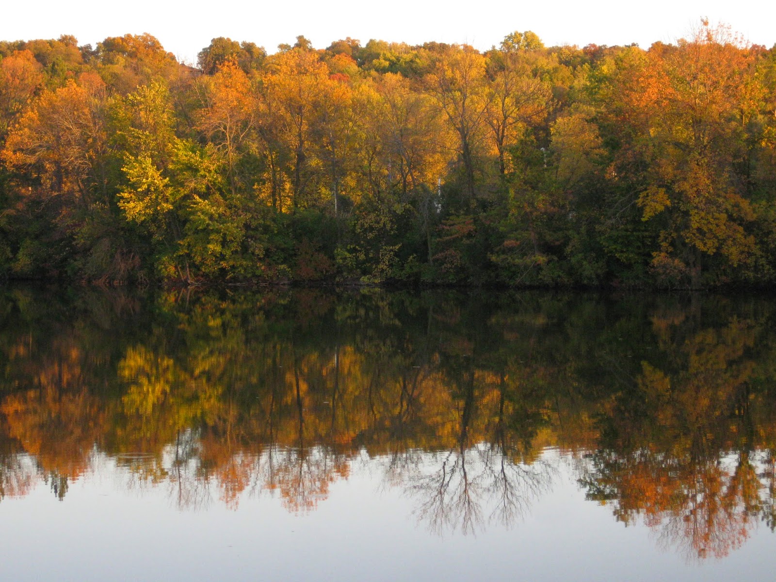 Think Global, Garden Local: Fall at High Cliff
