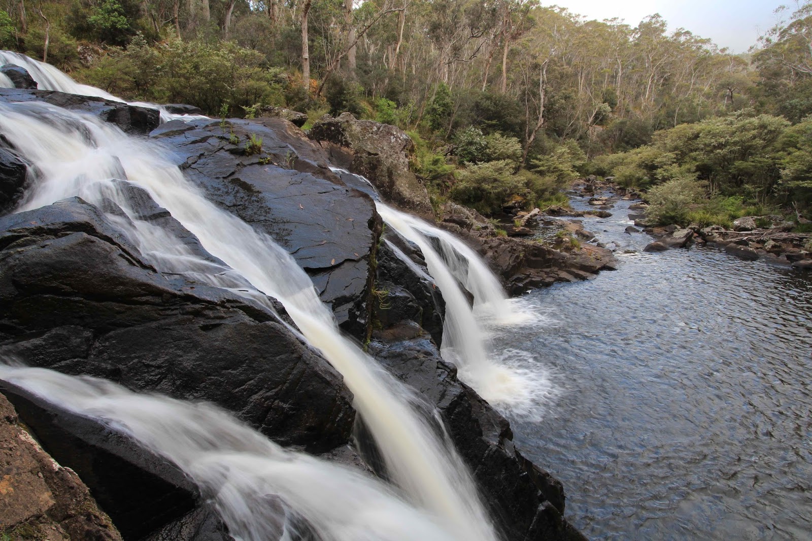awildland: Visiting the relatives - Manning River 60r, 23r and 8r