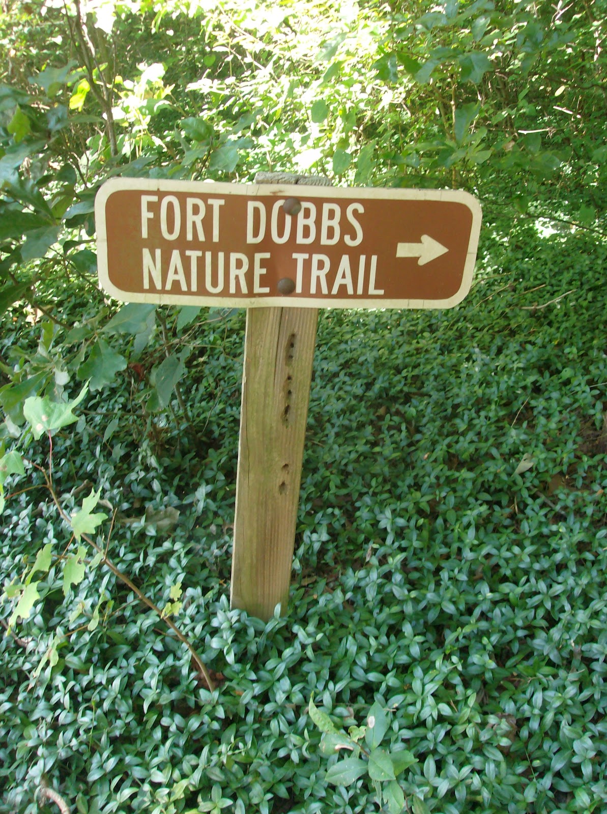 Job's Children: Fort Dobbs