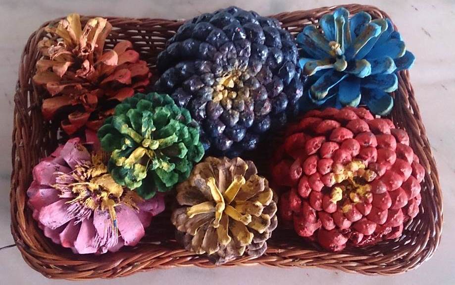 Flores com Pinha Natural