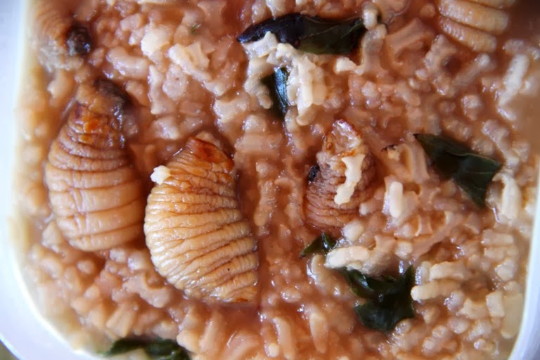 KG. MOLISAU TENGHILAN: October 2013