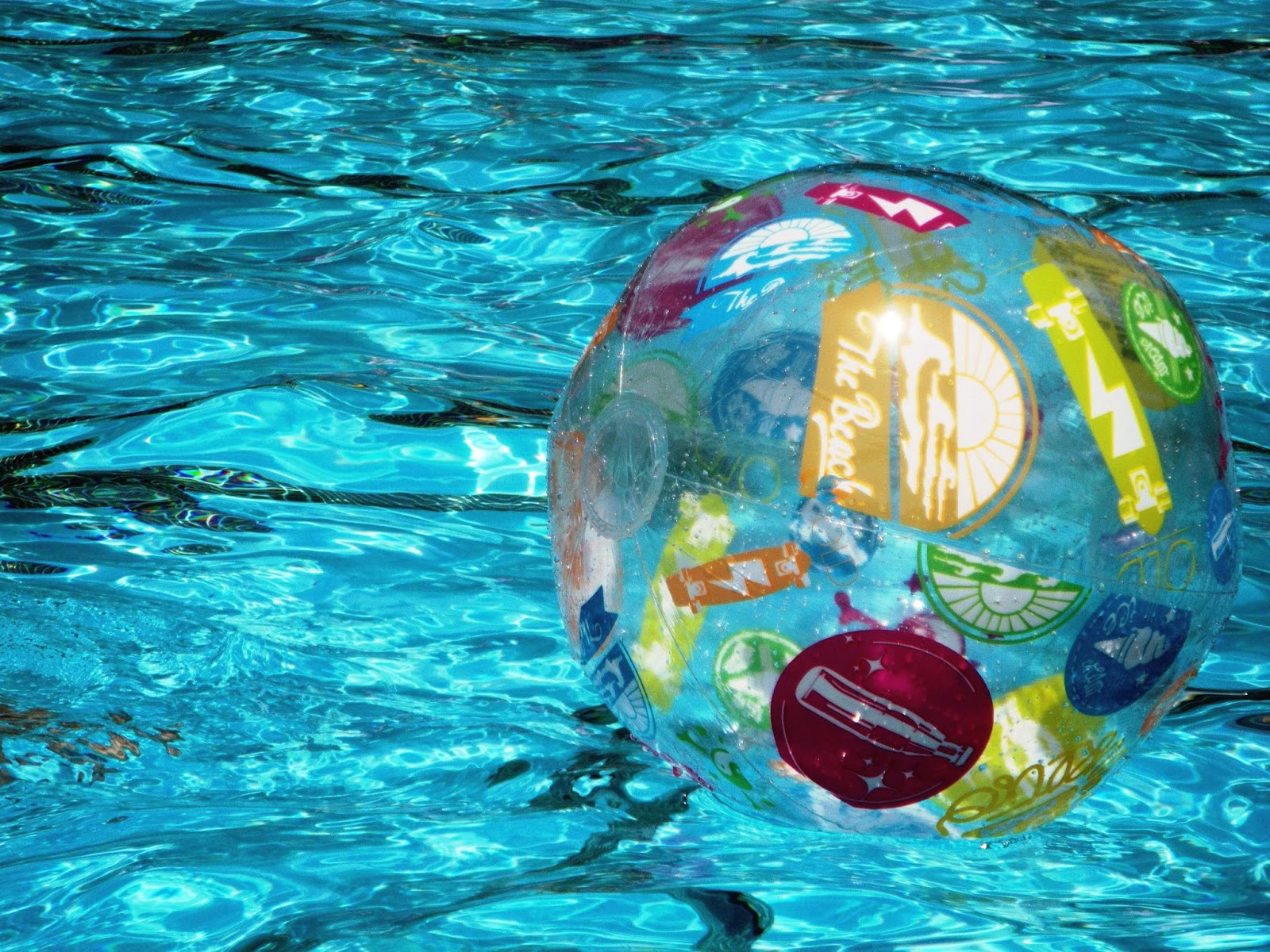 Swimming pool stories: Locals party at opening of new Petersham Pool