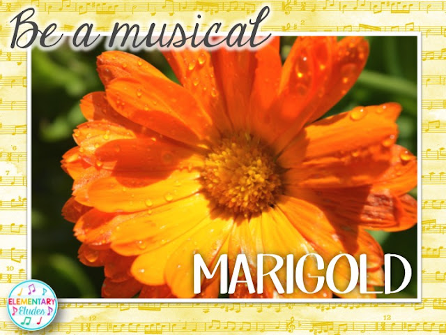 Elementary Etudes: Be a Musical Marigold
