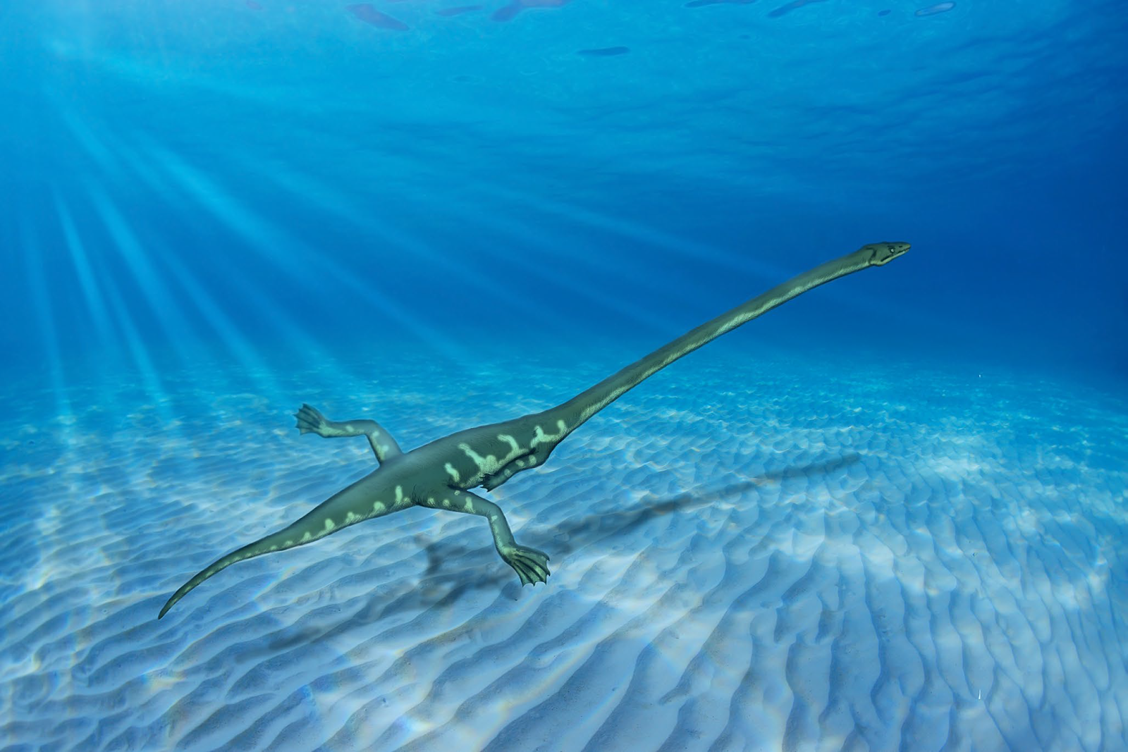 Sciency Thoughts: Reconstructing the locomotion of the Triassic ...