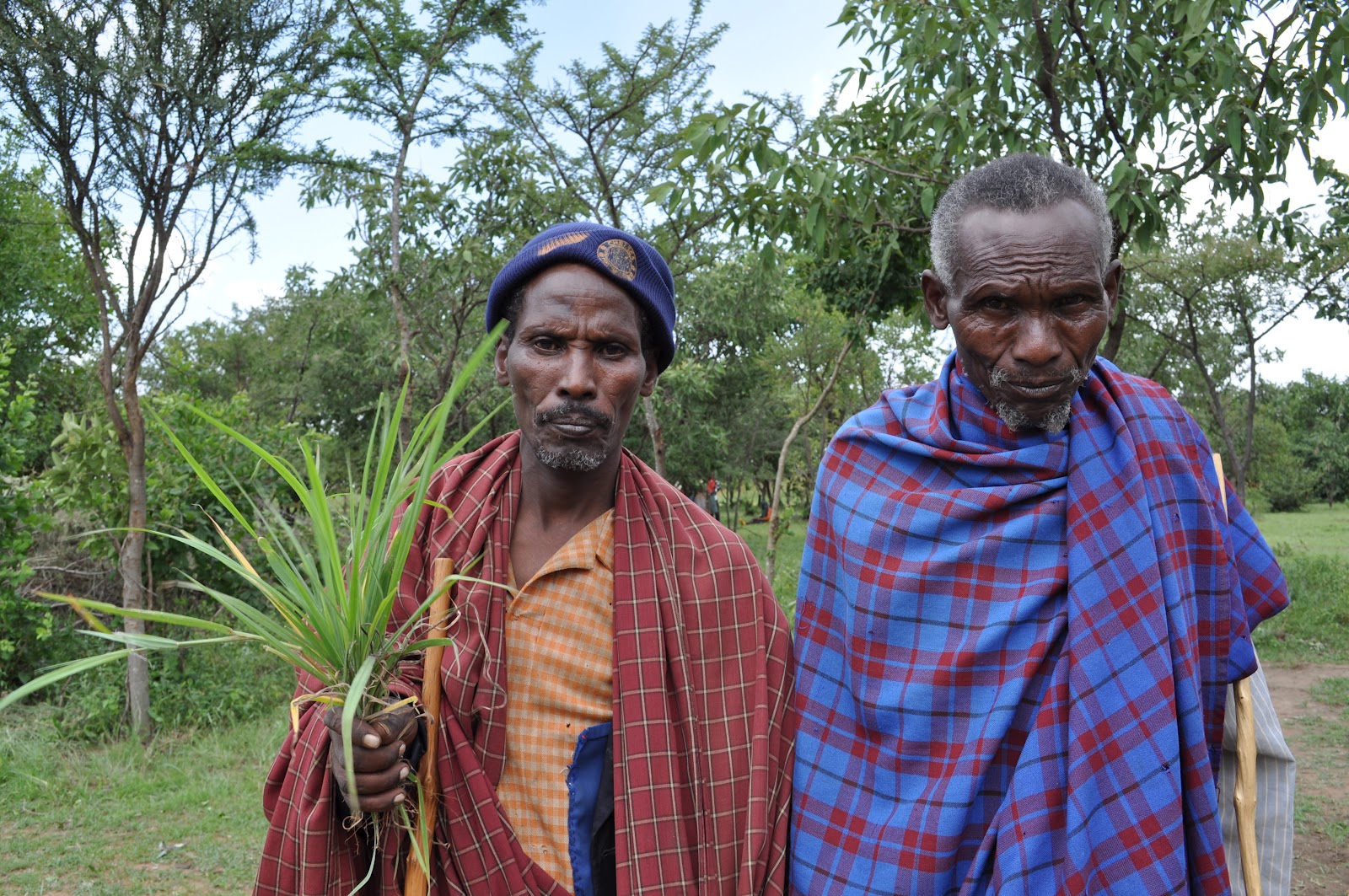 South cushitic | Somali Spot | Forum, News, Videos