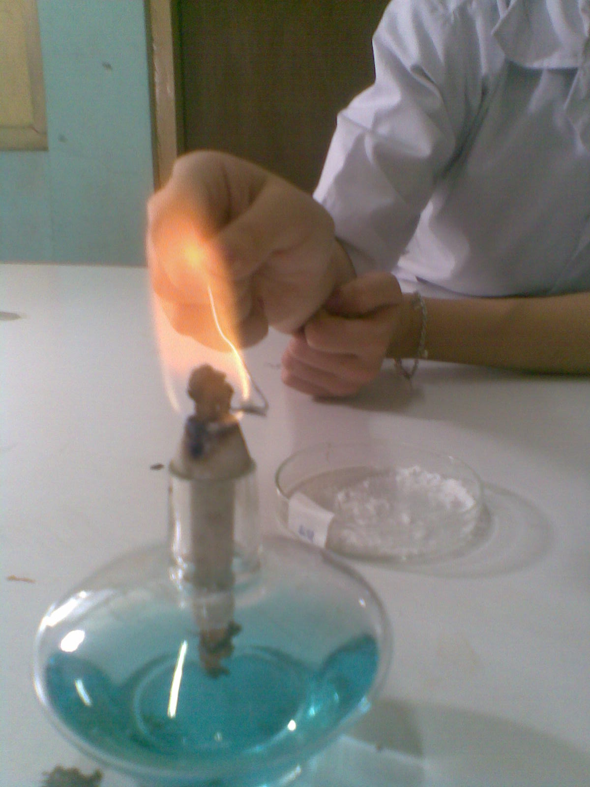 KIMIA: UJI NYALA KATION LOGAM ALKALI DAN ALKALI TANAH