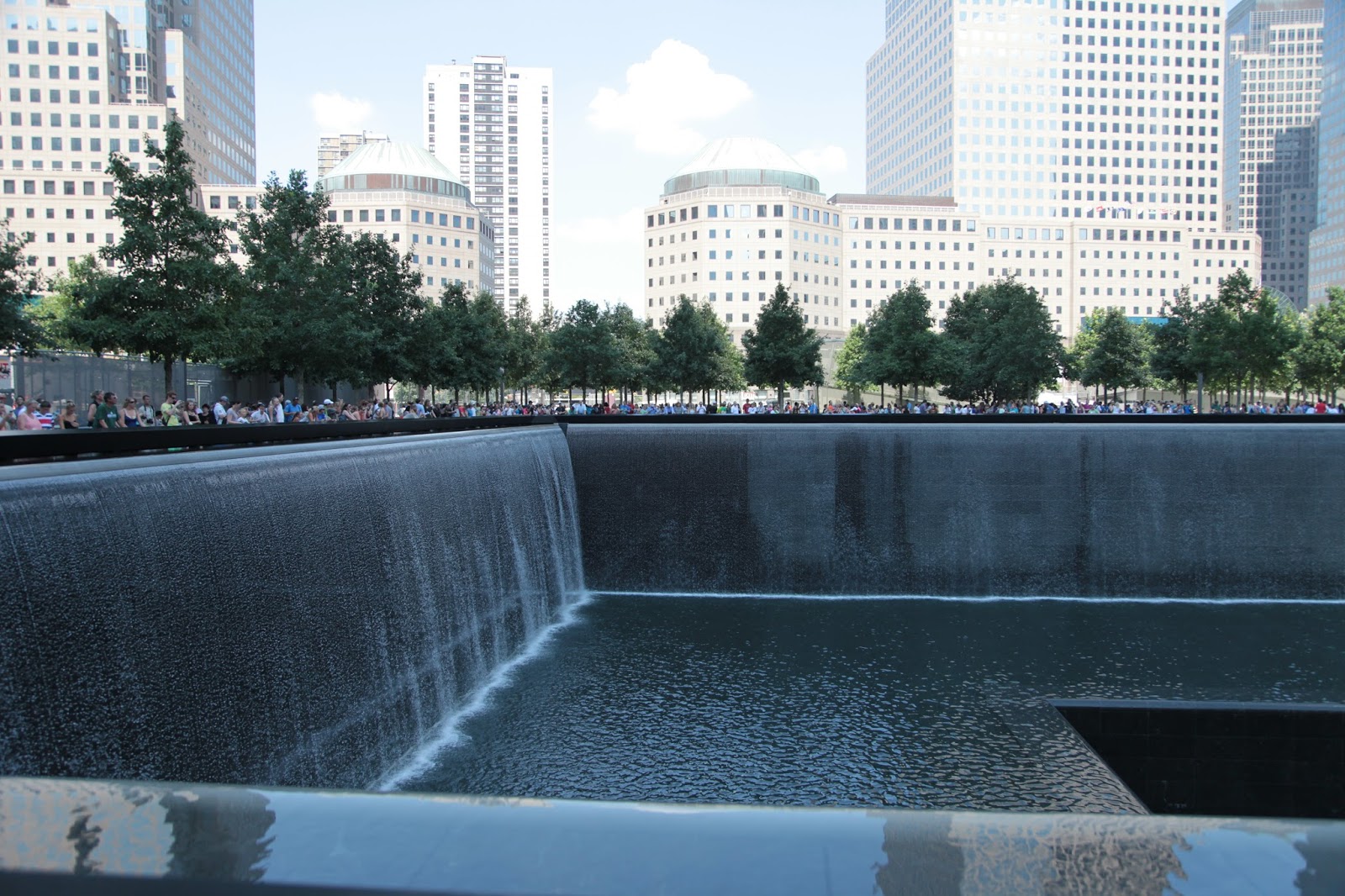 The Bloom Diary: Reflecting Absence