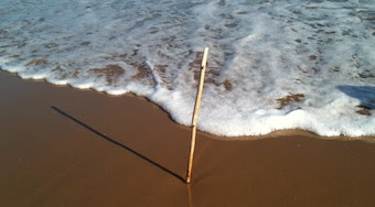 Shadow Play – 10 Ideas | Creative STAR Learning | I'm a teacher, get me ...