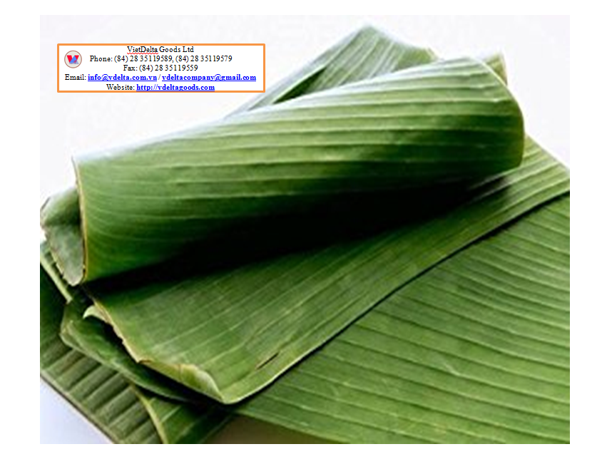 Banana leaf