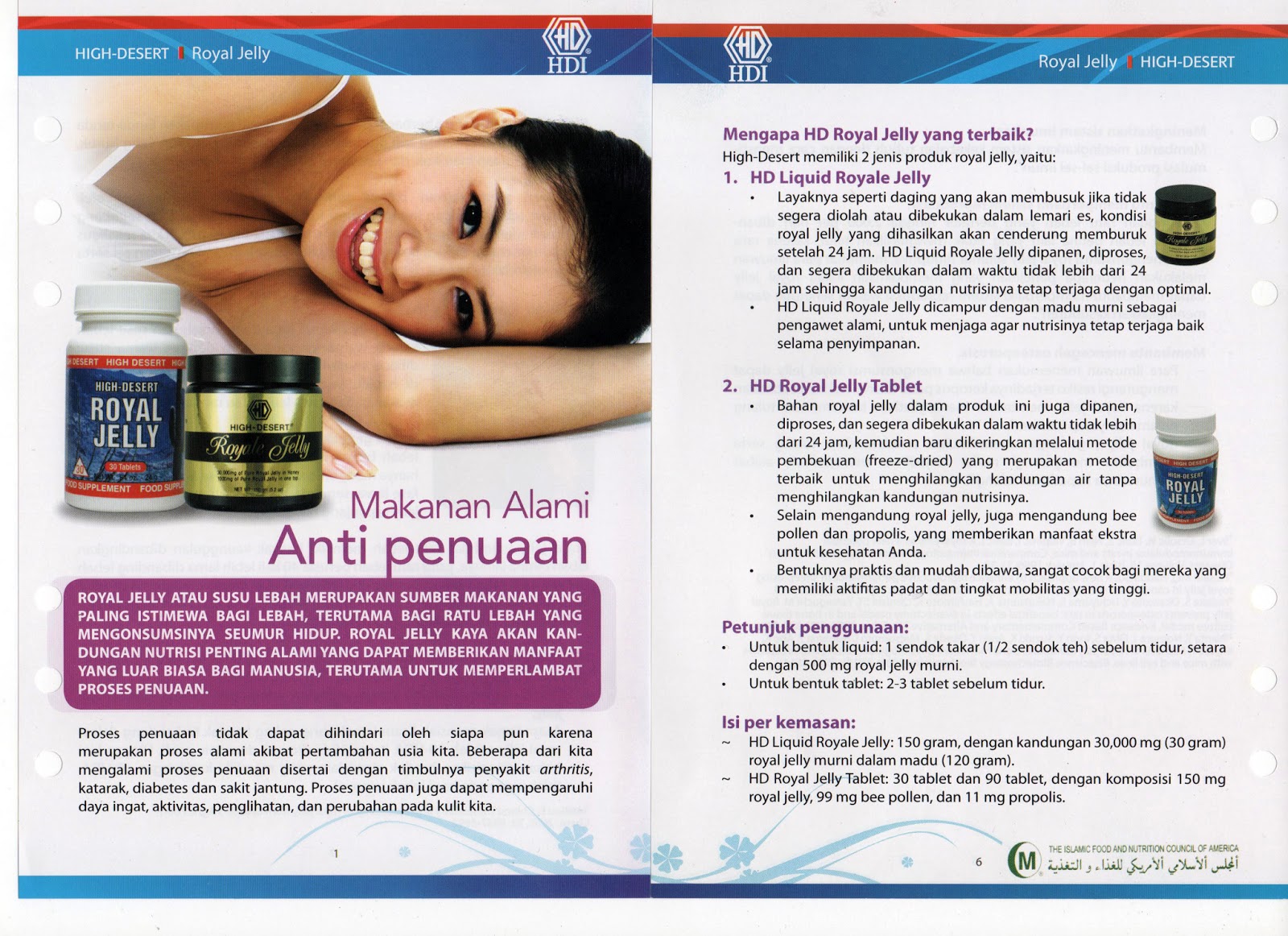 HDI indonesia 2013: produk hdi