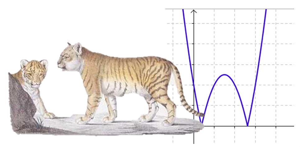exzuberant: A visit to the Function Zoo