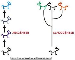Biologia é muito legal: Anagênese e Cladogênese
