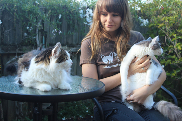 Laura Manfre - watercolour illustrations: Cat Tee Mission