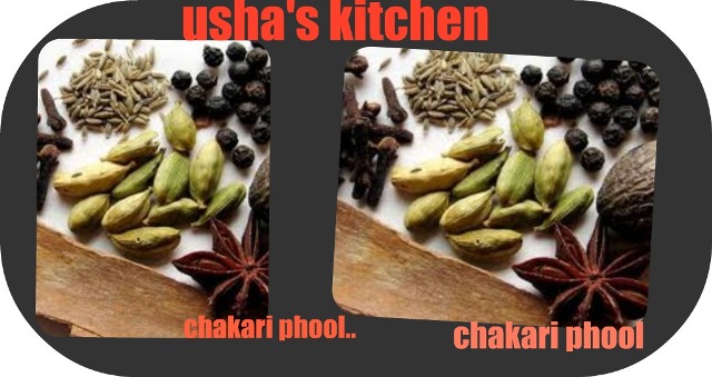 USHA'S KITCHEN: THE 'CHAKRA PHOOL'....a spice..