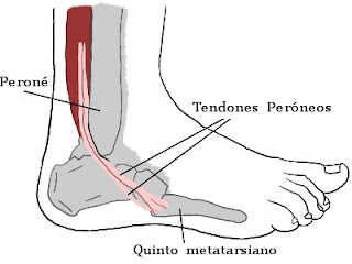 Fisioblog: marzo 2016