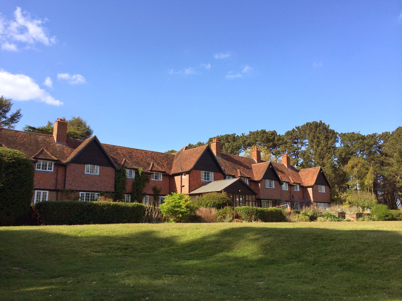 Musician to Airline Pilot