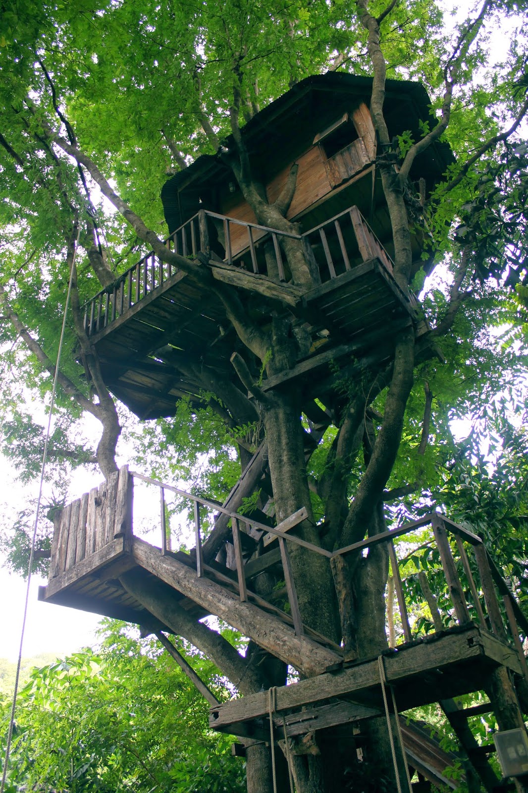Market of Eden: Rabeang Pasak Treehouse Resort