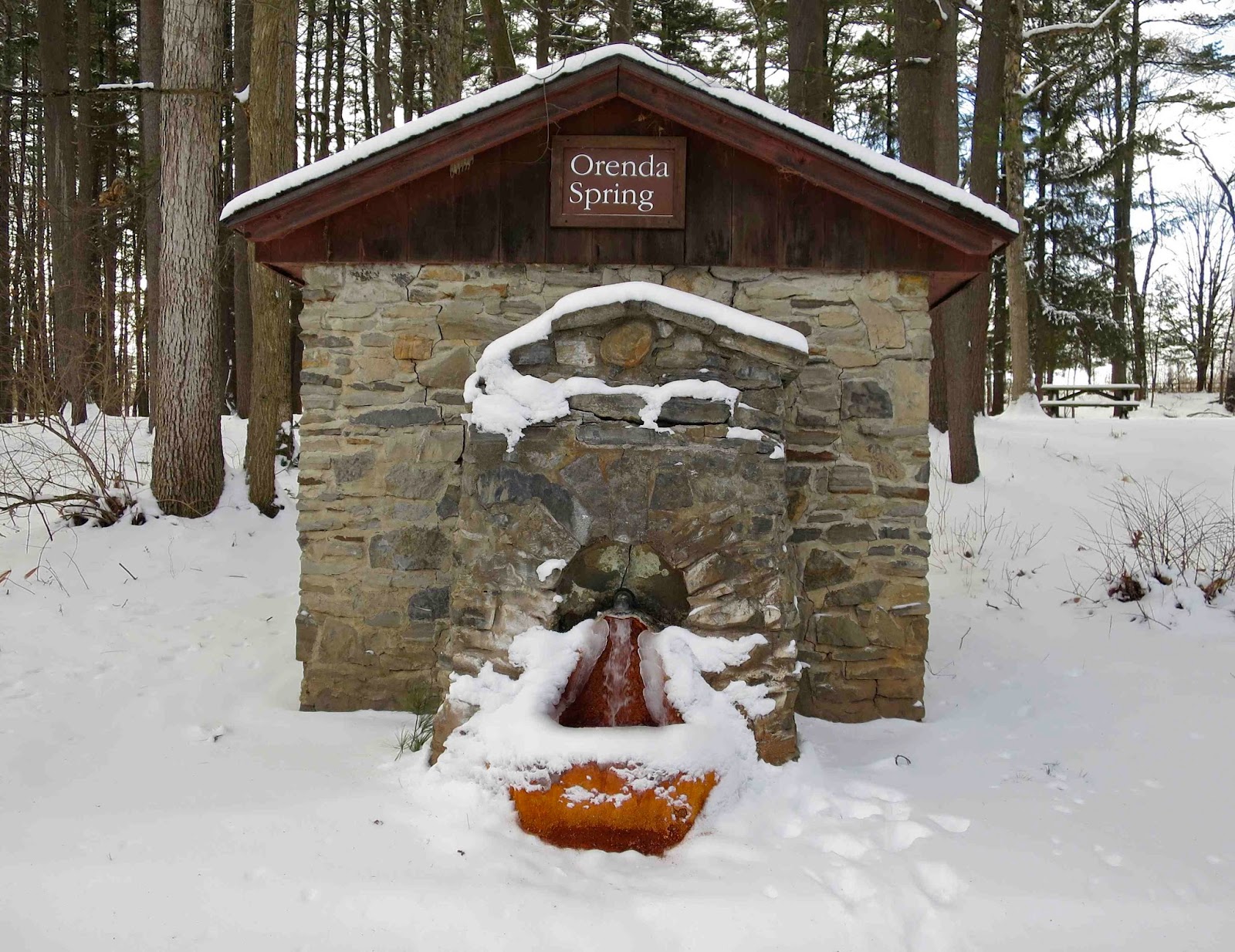 Saratoga woods and waterways: Snowy Trail Through the Spa