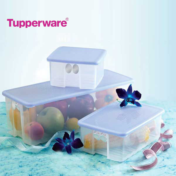 Tupperware Everywhere: Price List