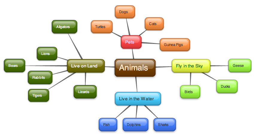 The Road to Becoming a Teacher: Concept Map Project ~ Animals Concept ...