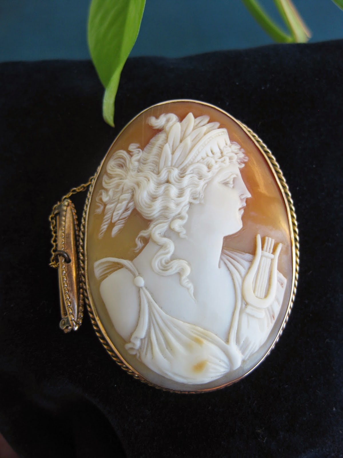 Solomon's Treasures: What is a cameo?