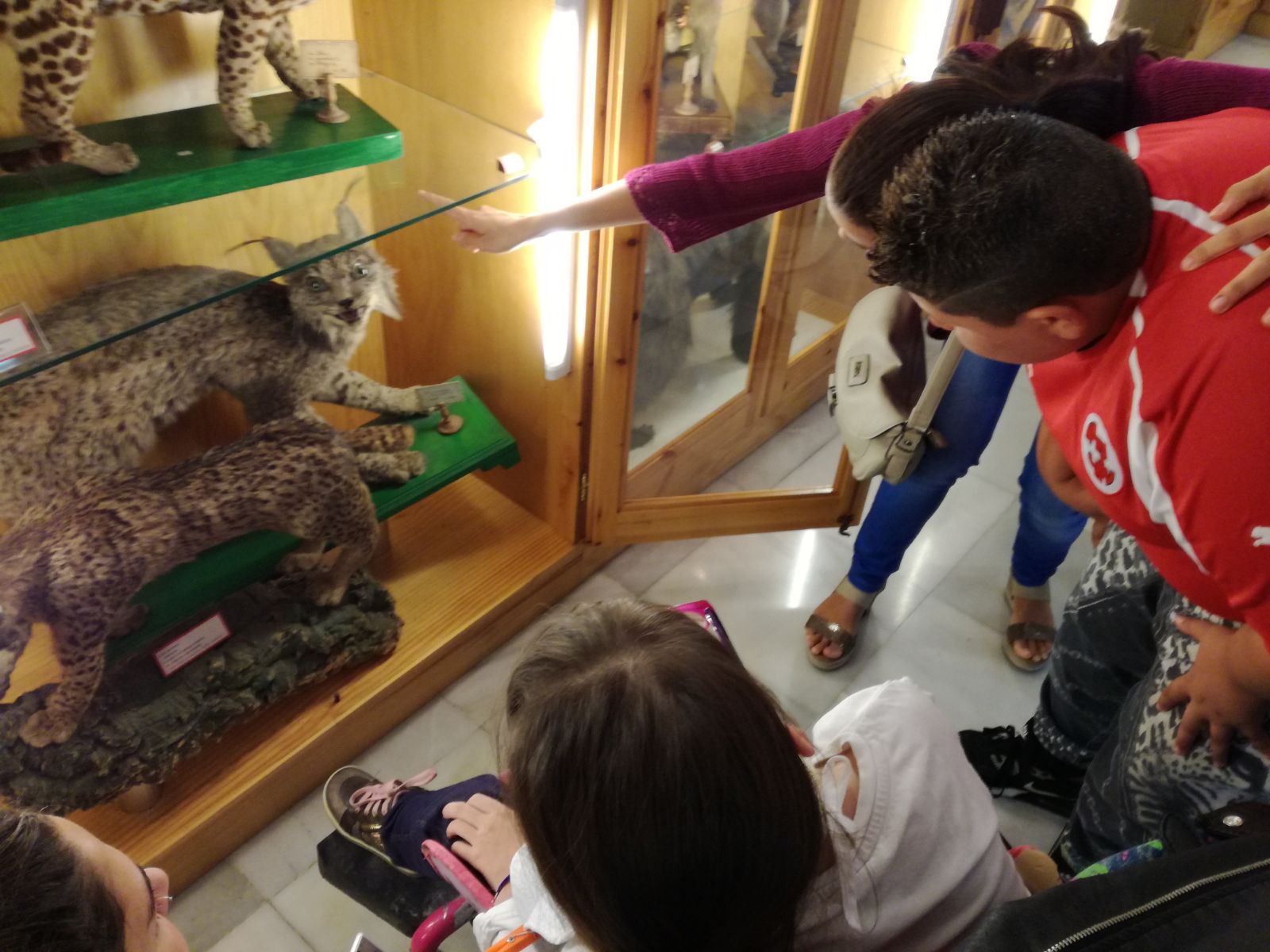 MUSEO DE CIENCIAS DEL IES PADRE SUÁREZ: octubre 2017