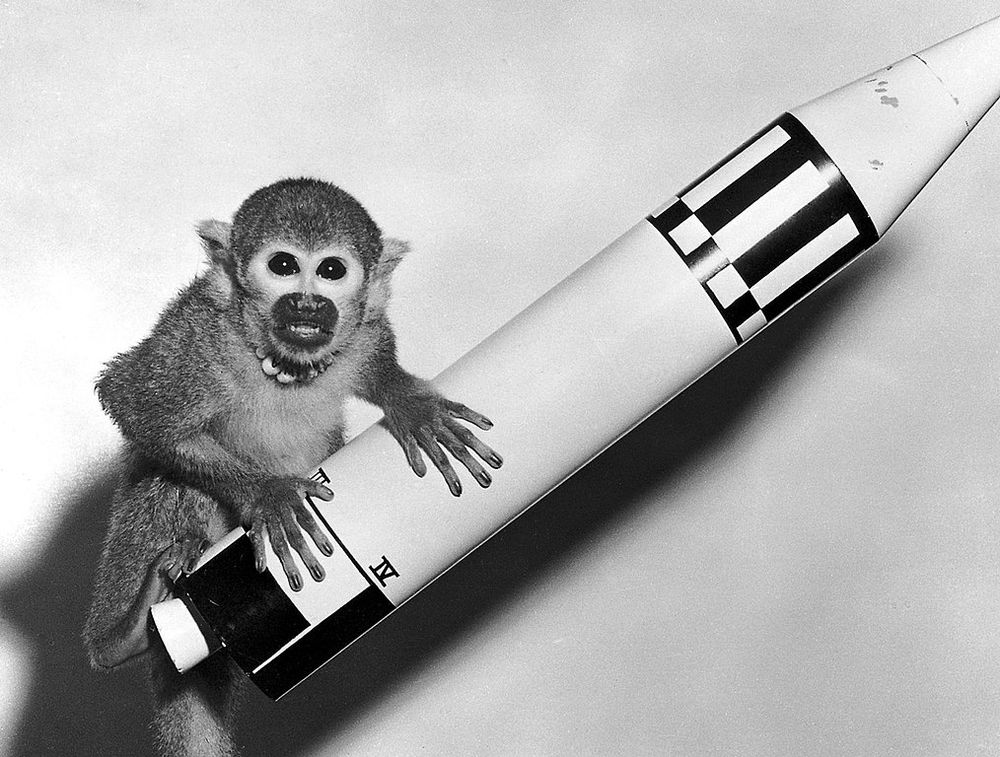 Of Mice, Men And Moon: A Short History of Animals in Space | Amusing Planet