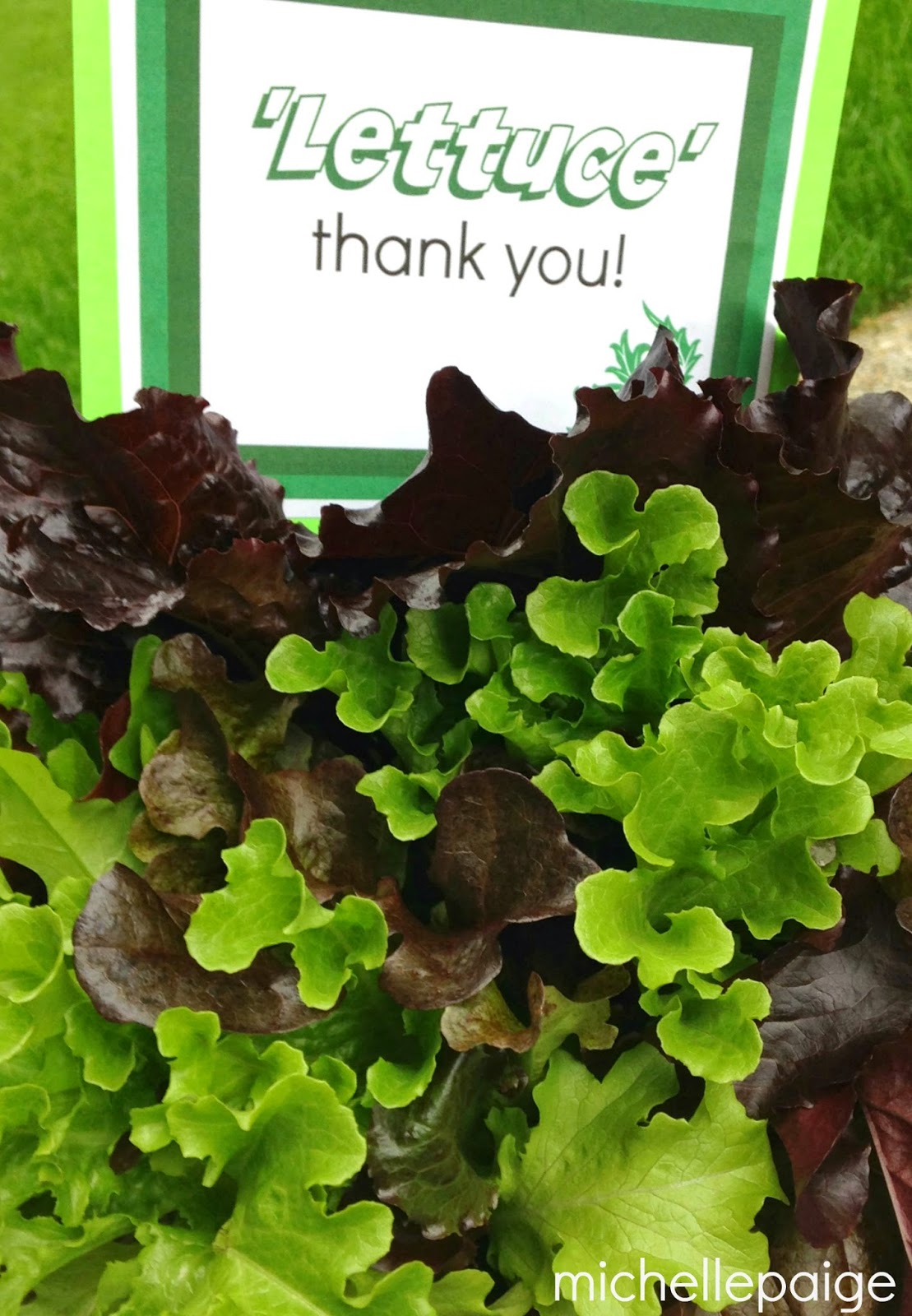 michelle paige blogs: Lettuce Thank You Pun Gift