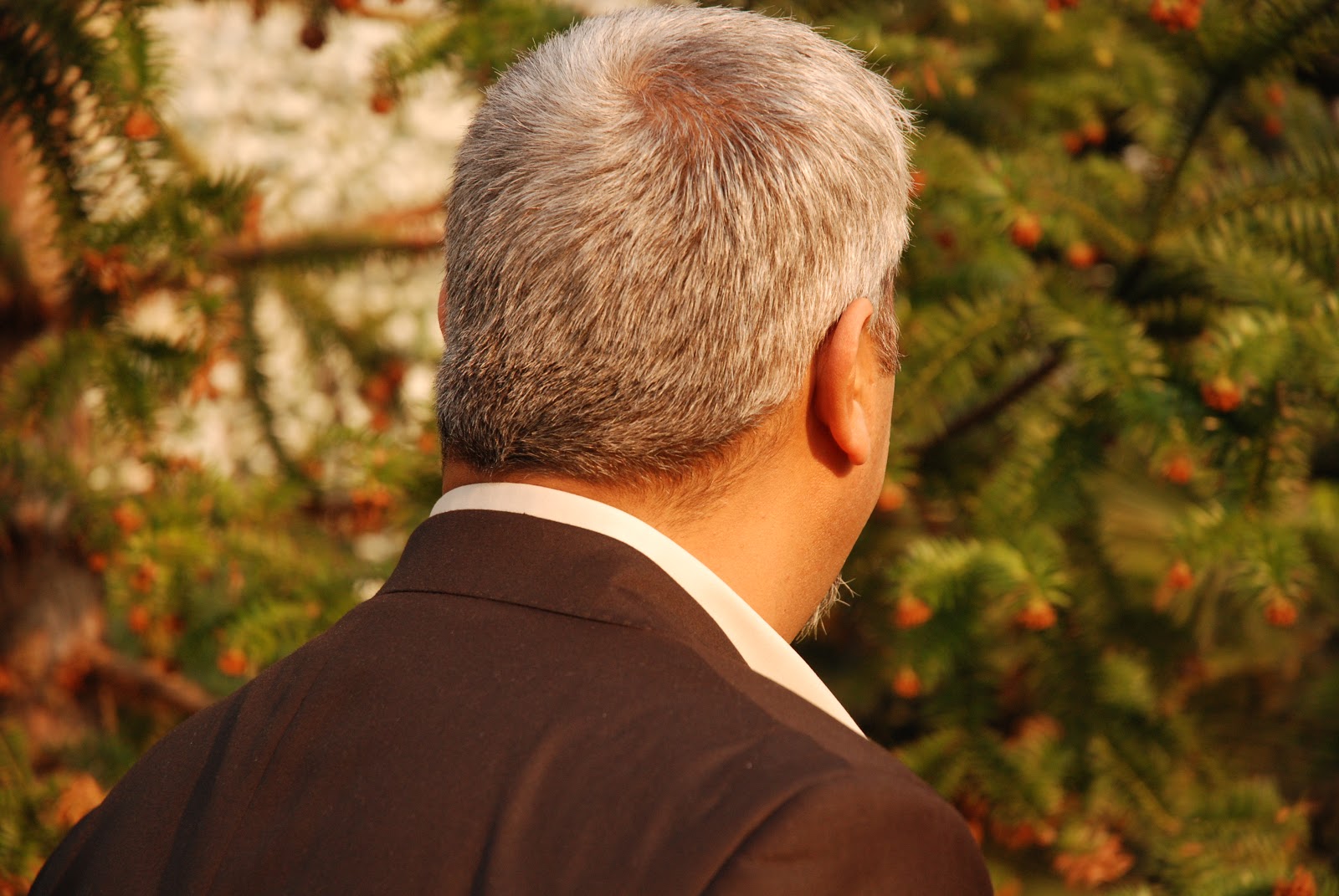 Con tinta de esperanza: De Muhamed Fadel-Ali a Joseph Fadelle: el ...