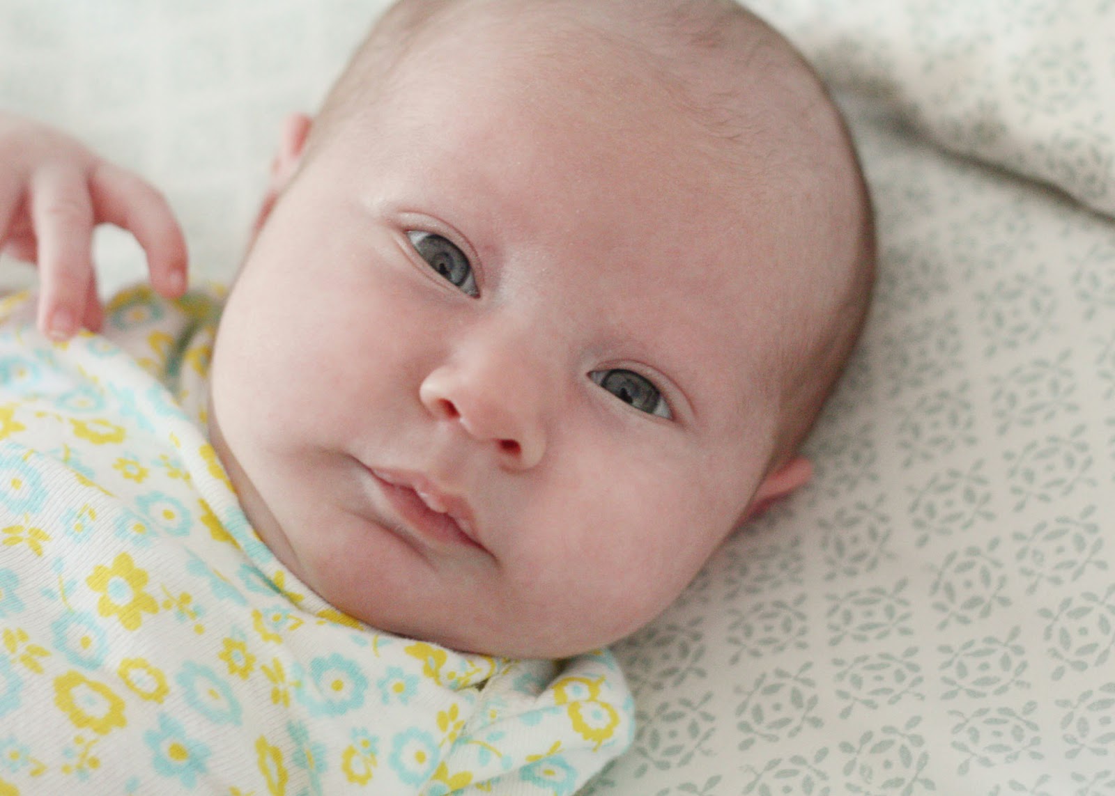 amy j. delightful blog: Baby Doll Record Book Printable for your Little ...