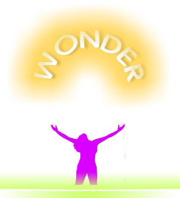 5 Wonderful Quotes About Wonder