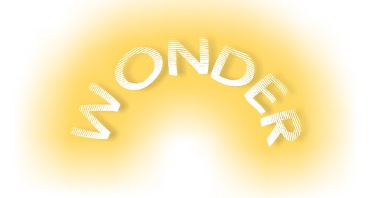 5 Wonderful Quotes About Wonder