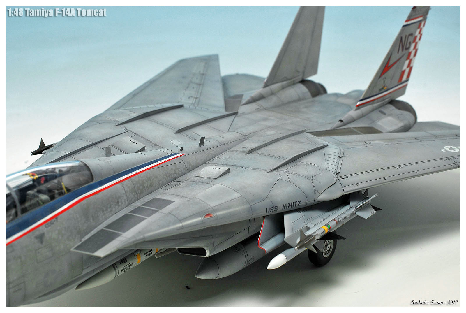 Wings of Glory: 1/48 Tamiya F-14A Tomcat